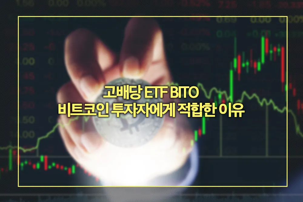 고배당 ETF BITO, 비트코인 투자자에게 적합한 이유 - 모두의 꿀팁